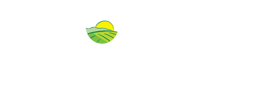 Expert Logistics Solutions | CF Logistics